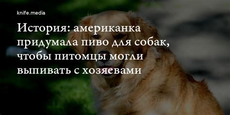 История: американка придумала пиво для собак, чтобы питомцы могли ...