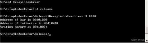 Bupt软件安全实验五 Csdn博客