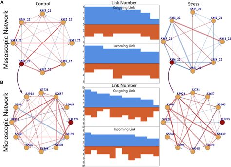 Multilayer Genetic Networks Under Control And Stress Conditions Download Scientific Diagram