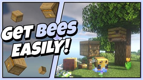 How To EASILY Get Beehives In Minecraft Without Exploring YouTube