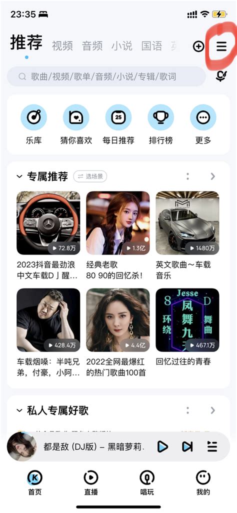 已解决：iphone ios ipad，如何边放 听音乐，边做其他事（看视频、打游戏、看直播等） 知乎