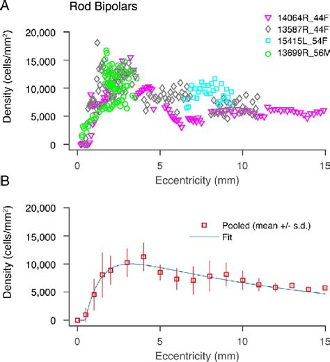 Spatial Density Of Rod Bipolar Cells On Temporal Axis Of Four Human