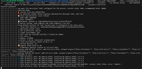 Chainspec Cant Able To Peer Two Different Node On Different