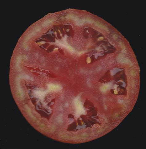 Need Python Code Within Gimp Image Editing Software To Perform A Series