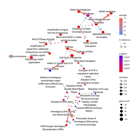 Chapter 4 Bnpathplot CBNplot