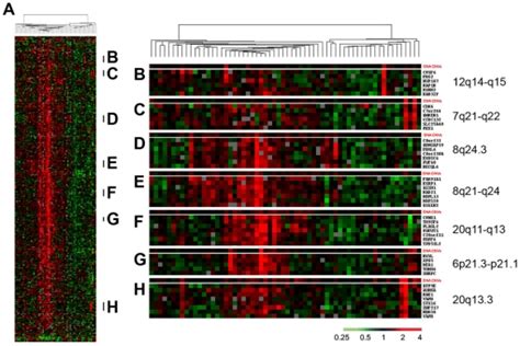 a hierarchical clustering the patterns of variation in expression of