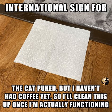 Katie Brace Katiebracenews Twitter