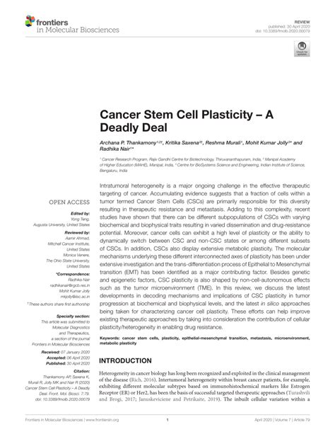 PDF Cancer Stem Cell Plasticity A Deadly Deal