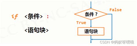 专升本 Python3种基本结构分支结构 Csdn博客