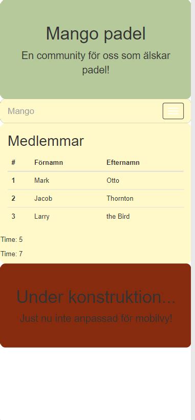 Javascript React Deployed App Works Good On Web And Simulated Phone