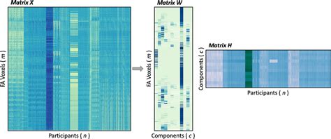 schematic of non‐negative matrix factorization nmf method the data