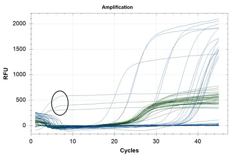 Qpcr Primer Dimer Troubleshooting At Hazel Phillips Blog