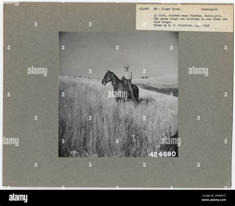 Grassland Types Washington Photographs Relating To National Forests Resource Management