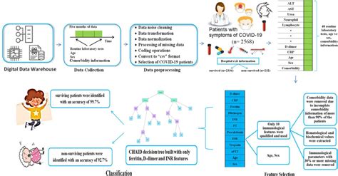 Work Flow Chart Of This Study Download Scientific Diagram