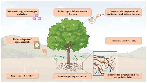 Agriculture Free Full Text Intercropping Systems An Opportunity For Environment