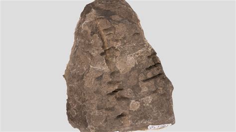 Limestone Dissolution 3d Model By Virtual Geology Yukon Virtualgeologyyukon [bb05569