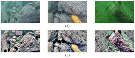 Jmse Free Full Text High Speed And Precision Underwater Biological Detection Based On The