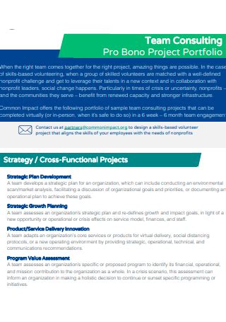 24 FREE Project Portfolio Samples To Download