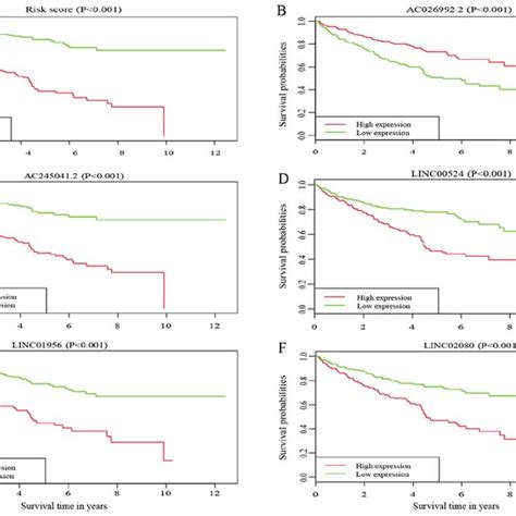 Prognostic Value Of The Selected Long Non Coding Rnas Regarding Overall