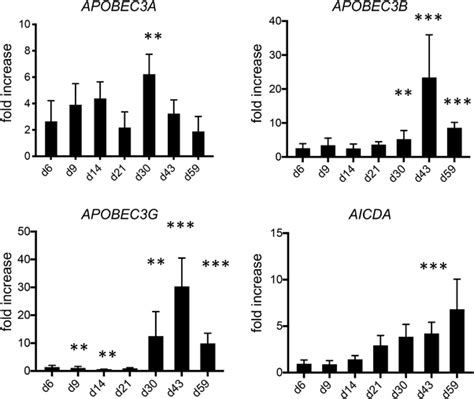 Ebv Induces Mrna Expression Of Aicda Apobec3b And Apobec3g In Human B