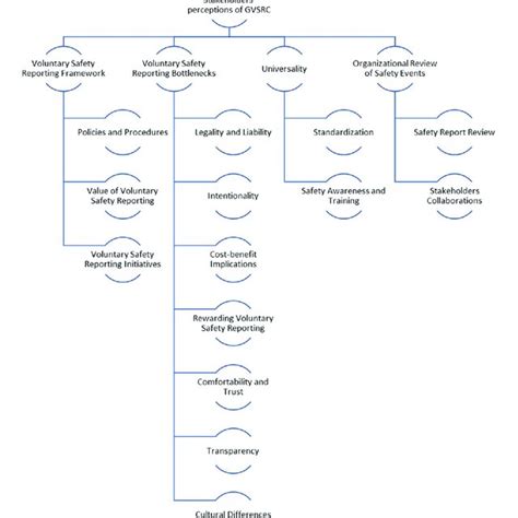 Flow Process Of Preliminary Review And Trustworthiness Of Transcripts