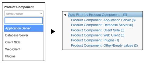 Automatically Create Sub Filters Based On Your List Field Values Data And Reporting