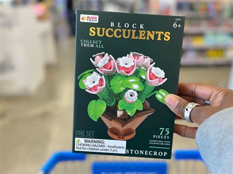 Block Bouquet Succulent Sets Just 3 At Five Below No Watering Needed Hip2Save