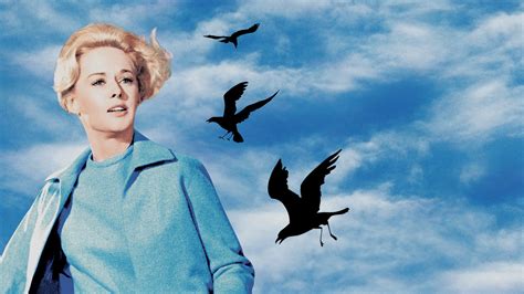 Download Movie The Birds Hd Wallpaper