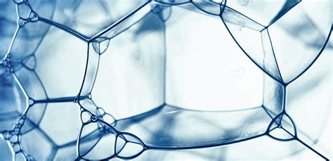 Поняття клітини