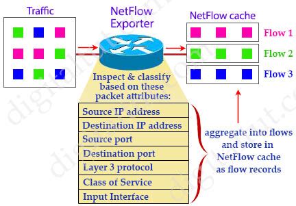 ENCOR Training NetFlow Tutorial