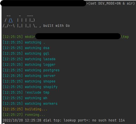 Runtime Arguments Syntax For Fullbin Does Not Work On Windows Even On