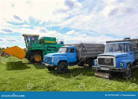 Modern Combine Harvester And Old Trucks On Green Lawn With Fresh Grass