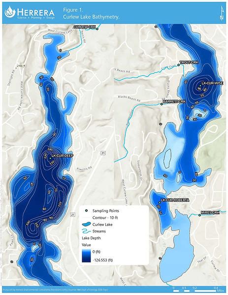 Curlew Lake Project Ferry Conservation