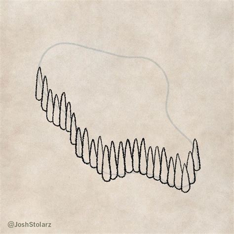 How To Draw A Forest On Your Fantasy Maps Artofit