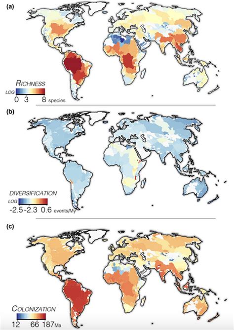 Species Richness Patterns Elizabeth Santos Ph D
