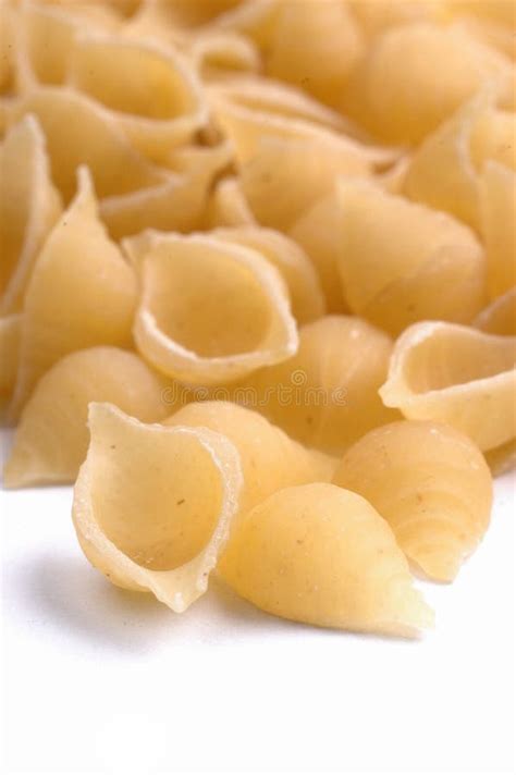 Pasta Small Shell Stock Image Image Of Nourishing Lunch 9898847