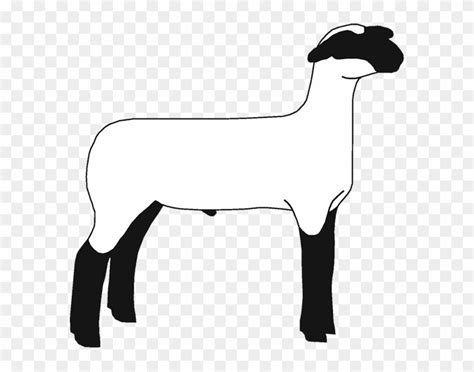 Free Lamb Outline Cliparts Download Free Lamb Outline Cliparts Png