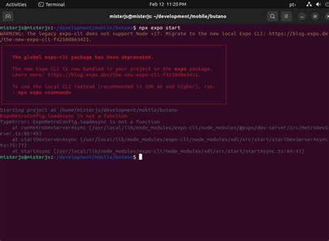 Javascript ExpoMetroConfig LoadAsync Is Not A Function When I Run