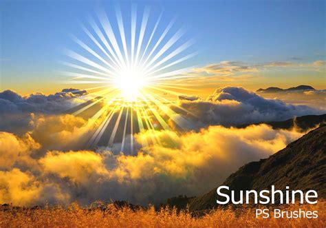 20 Sunshine Ps Brushes Abr Vol 14 Free Photoshop Brushes At Brusheezy