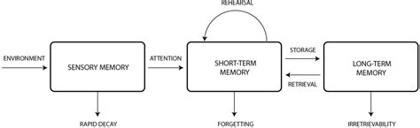 Figure 2 From A Computational Architecture For Machine Consciousness And Artificial