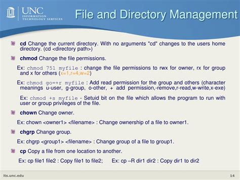 Ppt Shell Scripting Powerpoint Presentation Free Download Id300380