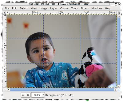 Vikram Aggarwal Adding Photography Grid Lines In GIMP