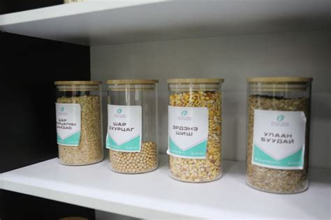 Ерөнхийлөгч У Хүрэлсүх “Хүнсний хангамж аюулгүй байдал” үндэсний хөдөлгөөний хүрээнд Баялаг