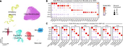 Figure 7 From Hdwgcna Identifies Co Expression Networks In High
