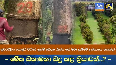 නුවරඑළිය ගොල්ෆ් පිටියේ හුස්ම බෙදන රූස්ස ගස් මරා දැමීමේ උත්සාහය මේක සිතාමතා සිදු කළ ක්‍රියාවක්
