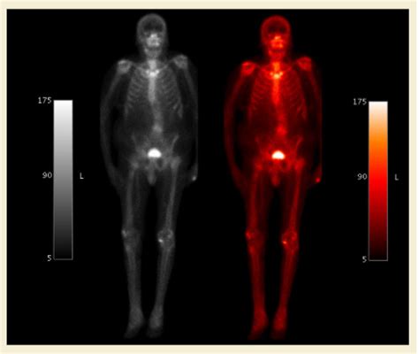 C How To Apply A Palette To A Bitmap Stack Overflow