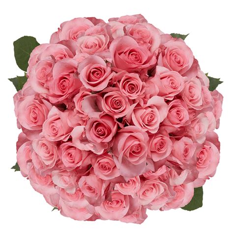 Faux Pink Roses For Sale At Wendell Espinoza Blog