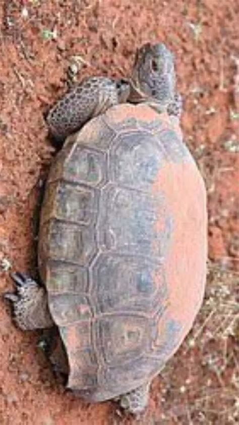 Two Finger Scroll Not Working On Your Windows Laptop Here Are 10 Fixes You Can Try