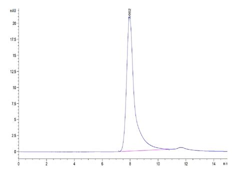 Human Factor Xi Protein Accession P03951 Jiangsu Watson Bio Ltd