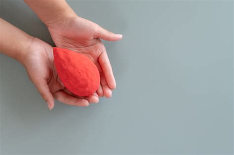 헌혈 또는 의료 수술 개념 종이 혈액 기호의 작은 조각과 붉은 심장 모양을 가진 인간 개념에 대한 스톡 사진 및 기타 이미지 개념 건강관리와 의술 구조 Istock